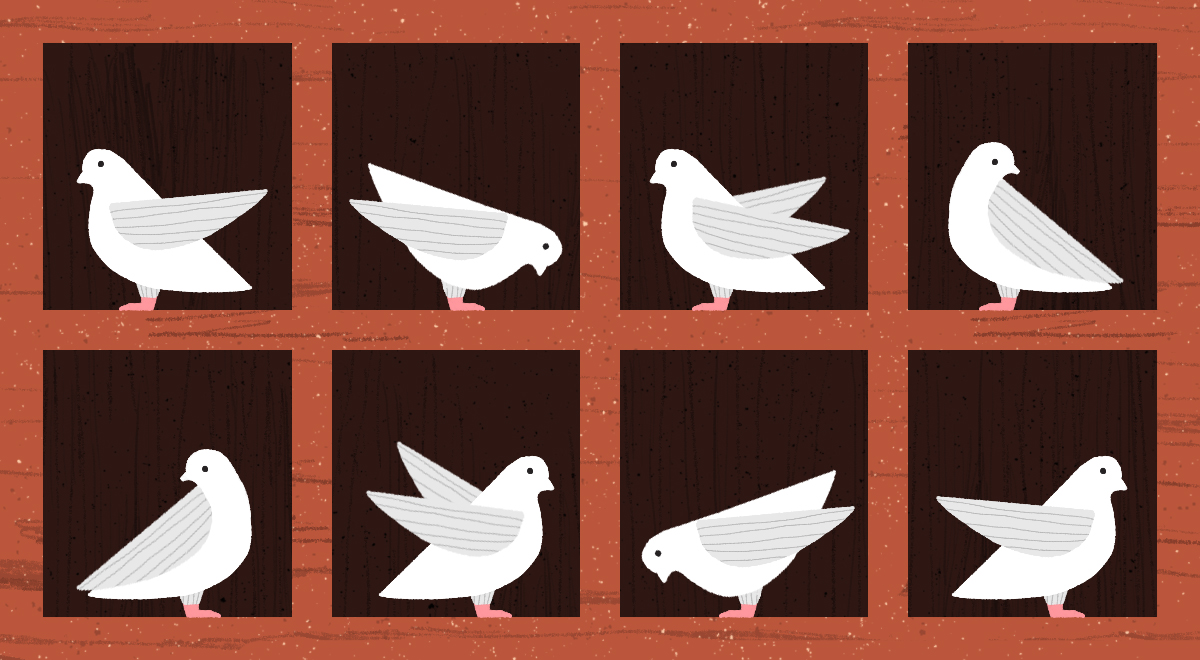 Güvercin Yuvası İlkesi | TÜBİTAK Bilim Genç