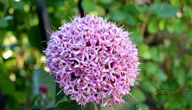 Kendi Pilimizi Yapalım | TÜBİTAK Bilim Genç