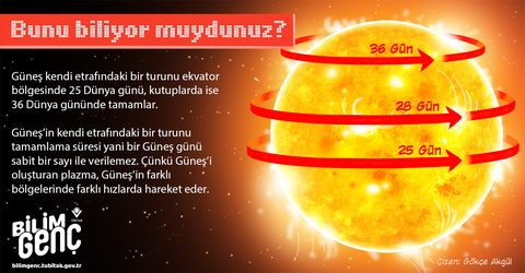 Bunları biliyor muydunuz? | TÜBİTAK Bilim Genç