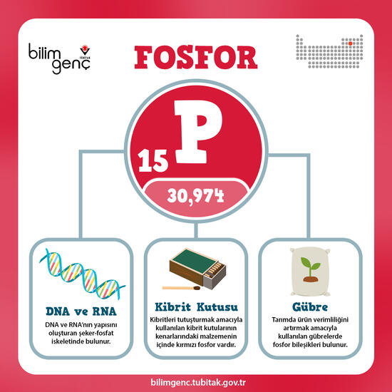 Fosfor | Periyodik Tablo